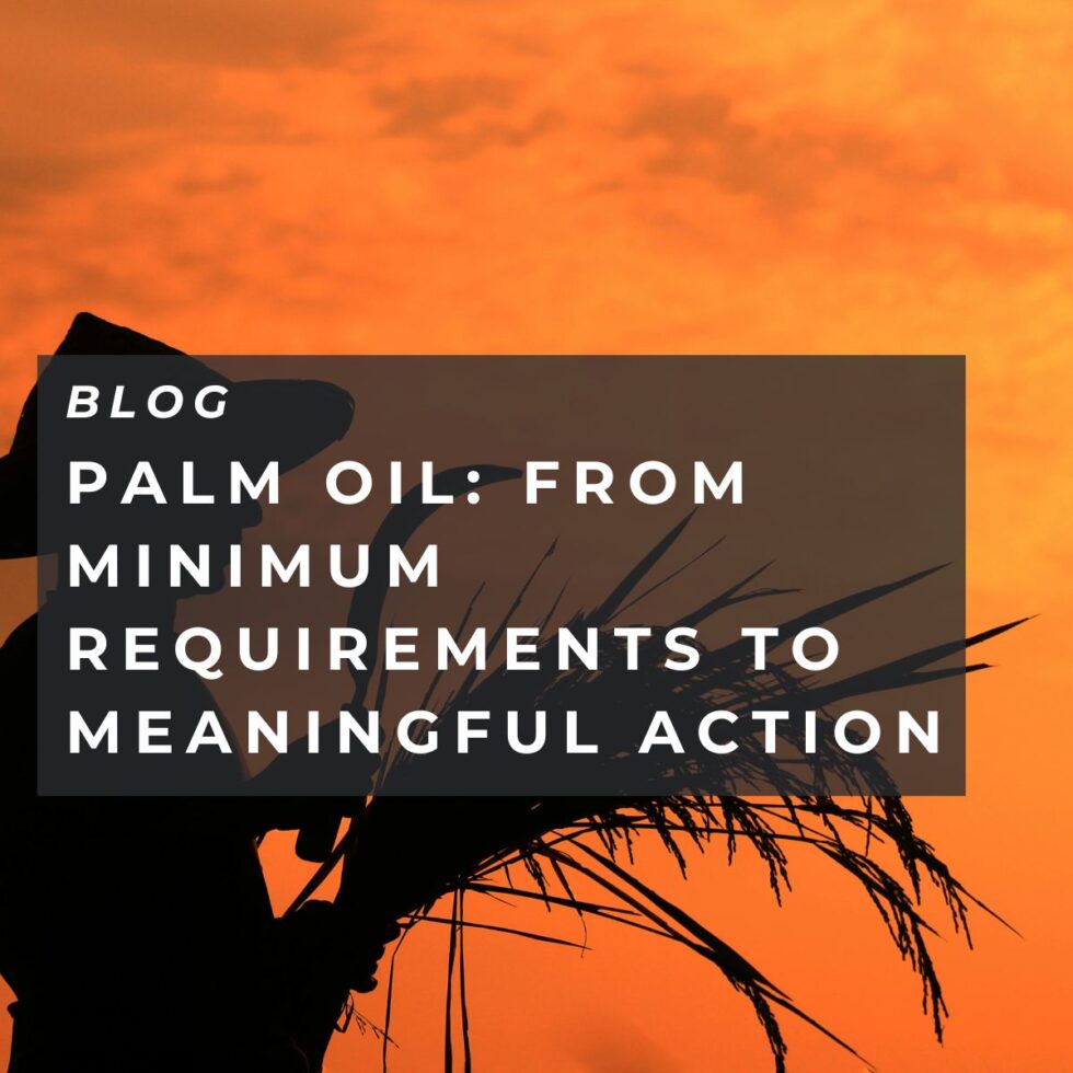 Palm Oil: From Minimum Requirements to Meaningful Action